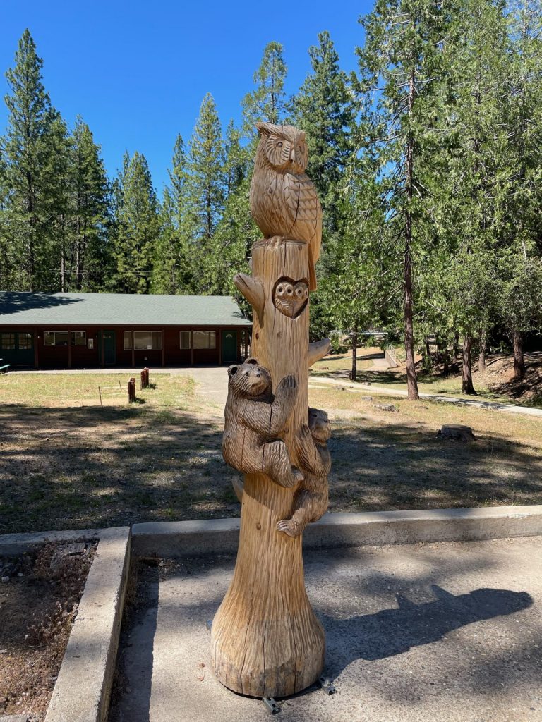 Video and Photo Gallery | Campground photos and videos